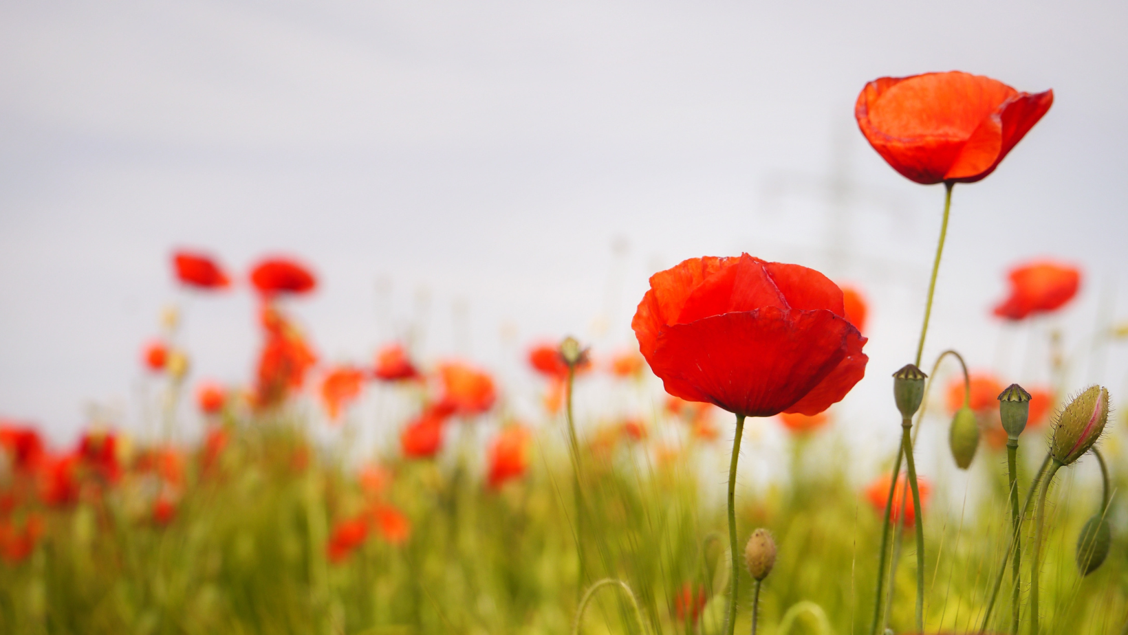 Come say hello! – Southern Concoctions